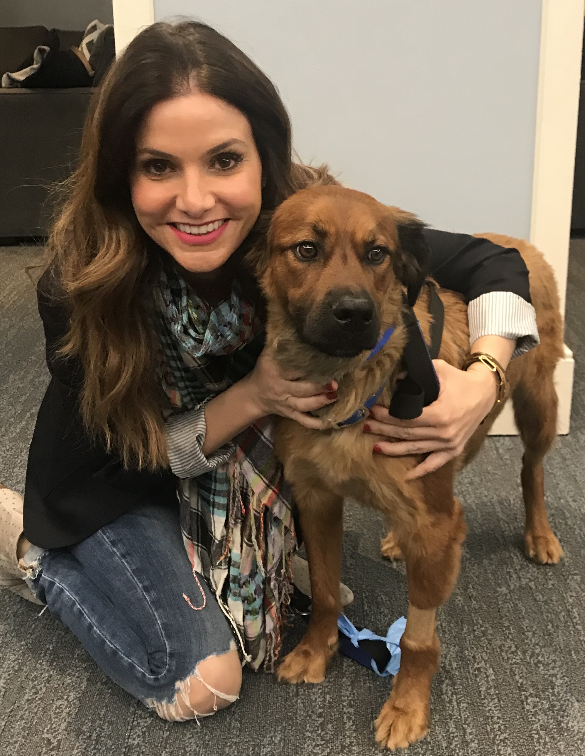 Angela and Leo - New York Therapy Animals