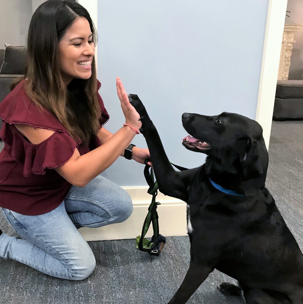 Join Us - New York Therapy Animals
