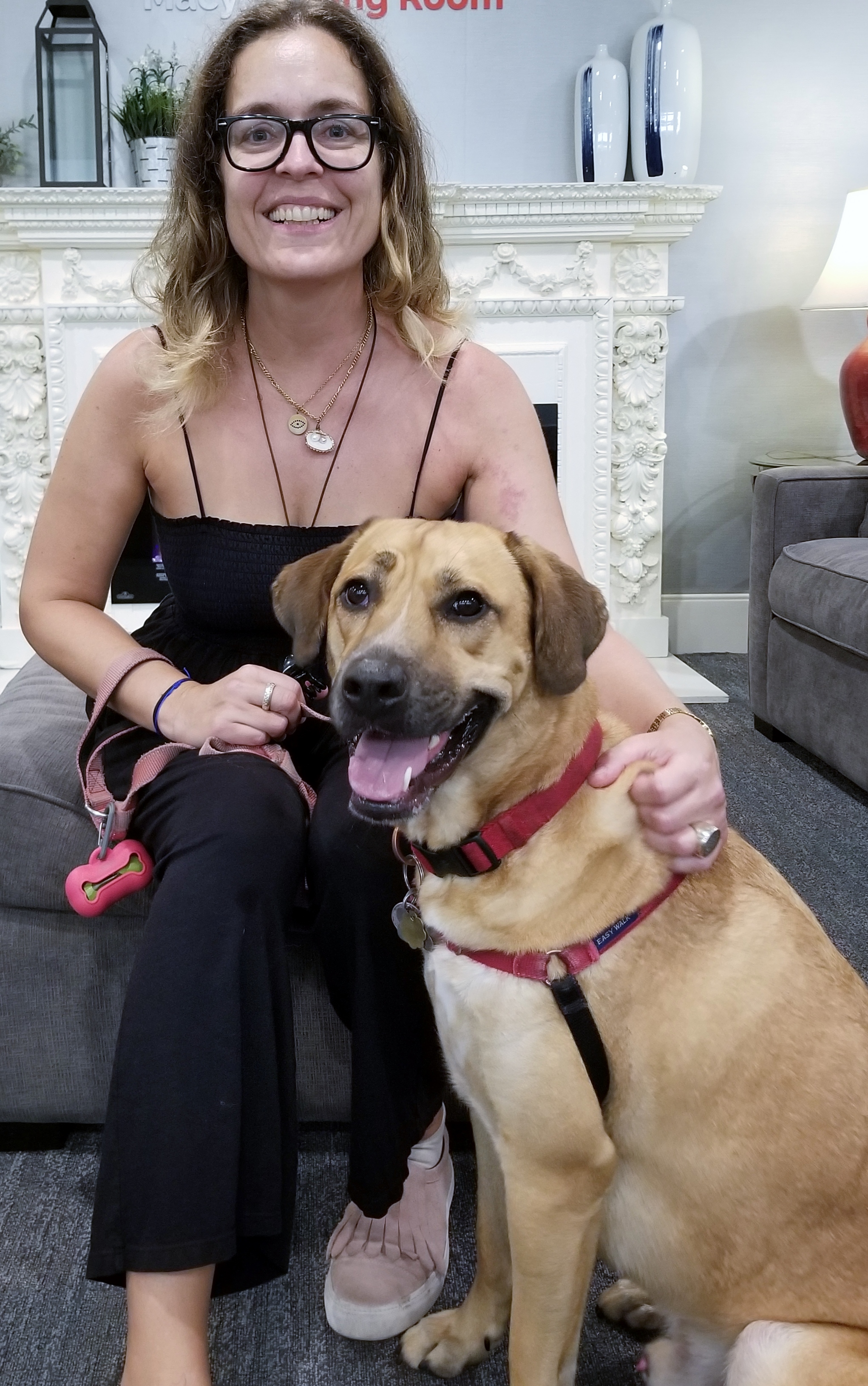 Emma and Walter 2 - New York Therapy Animals