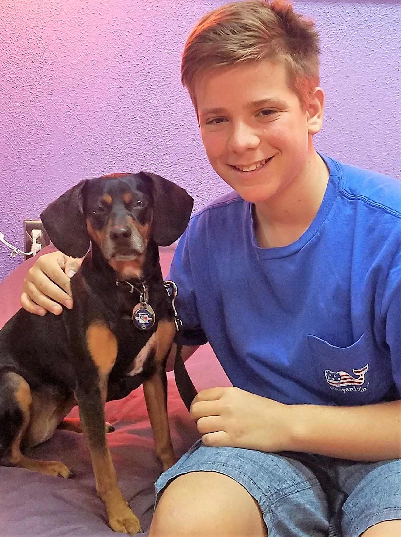 Ezra and Arrow - New York Therapy Animals