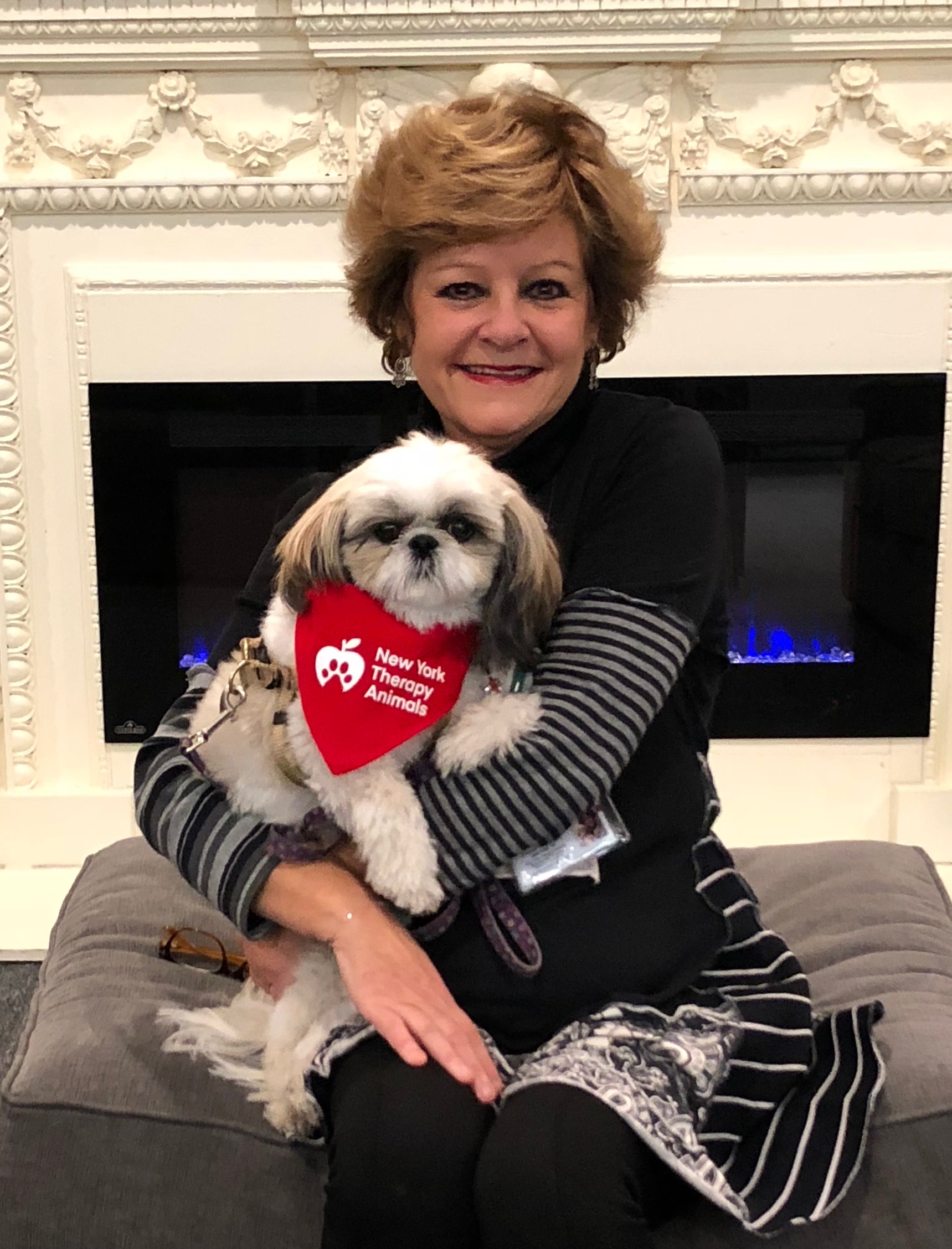 Fanny and Luna - New York Therapy Animals