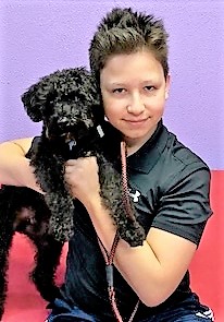 Henry and Pepper - New York Therapy Animals