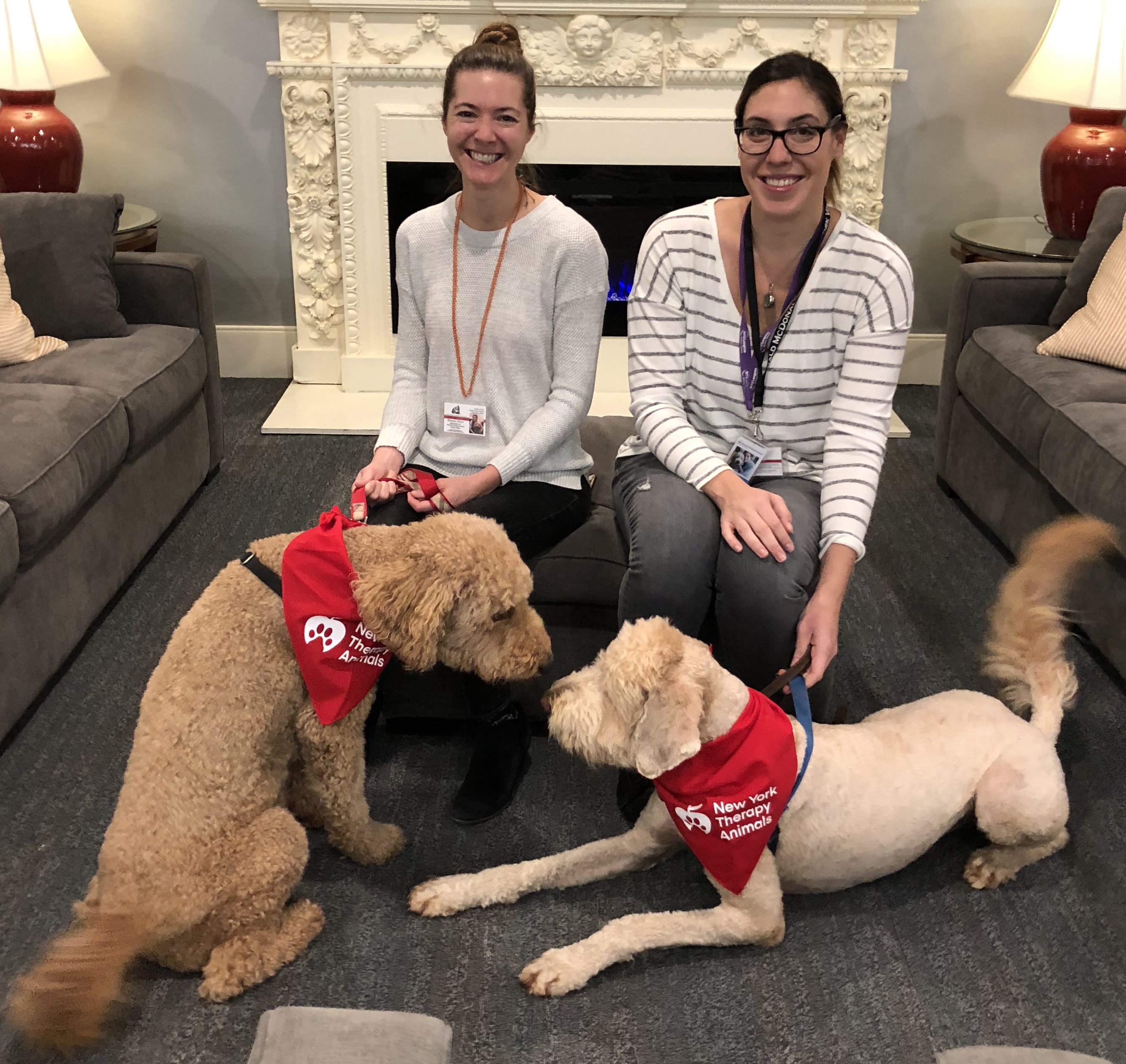 Keyana and Pippa and Jesse and Mumford - New York Therapy Animals