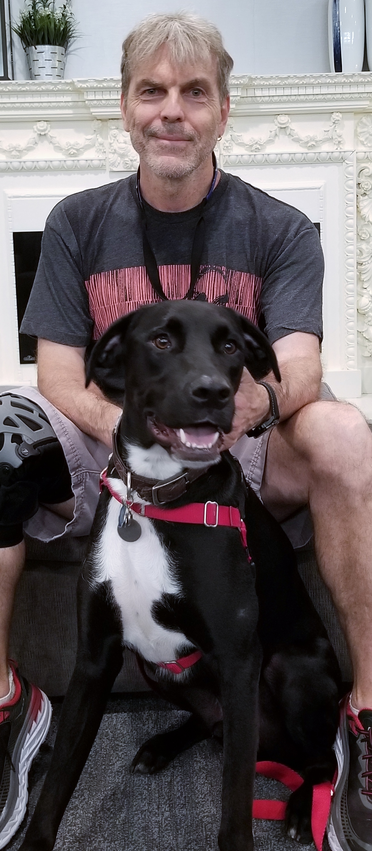 Larry and Mack - New York Therapy Animals