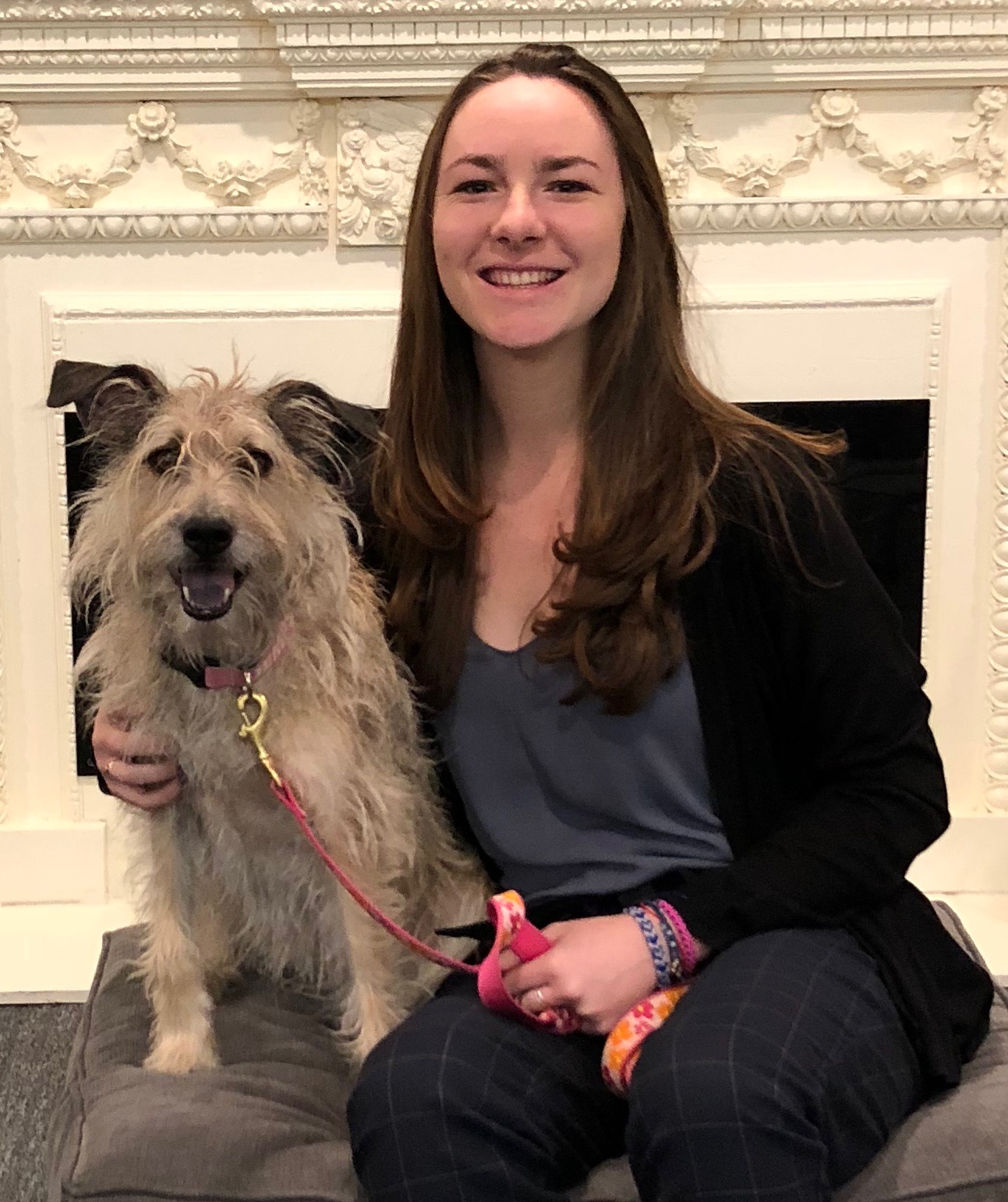 Molly and Dempsey - New York Therapy Animals
