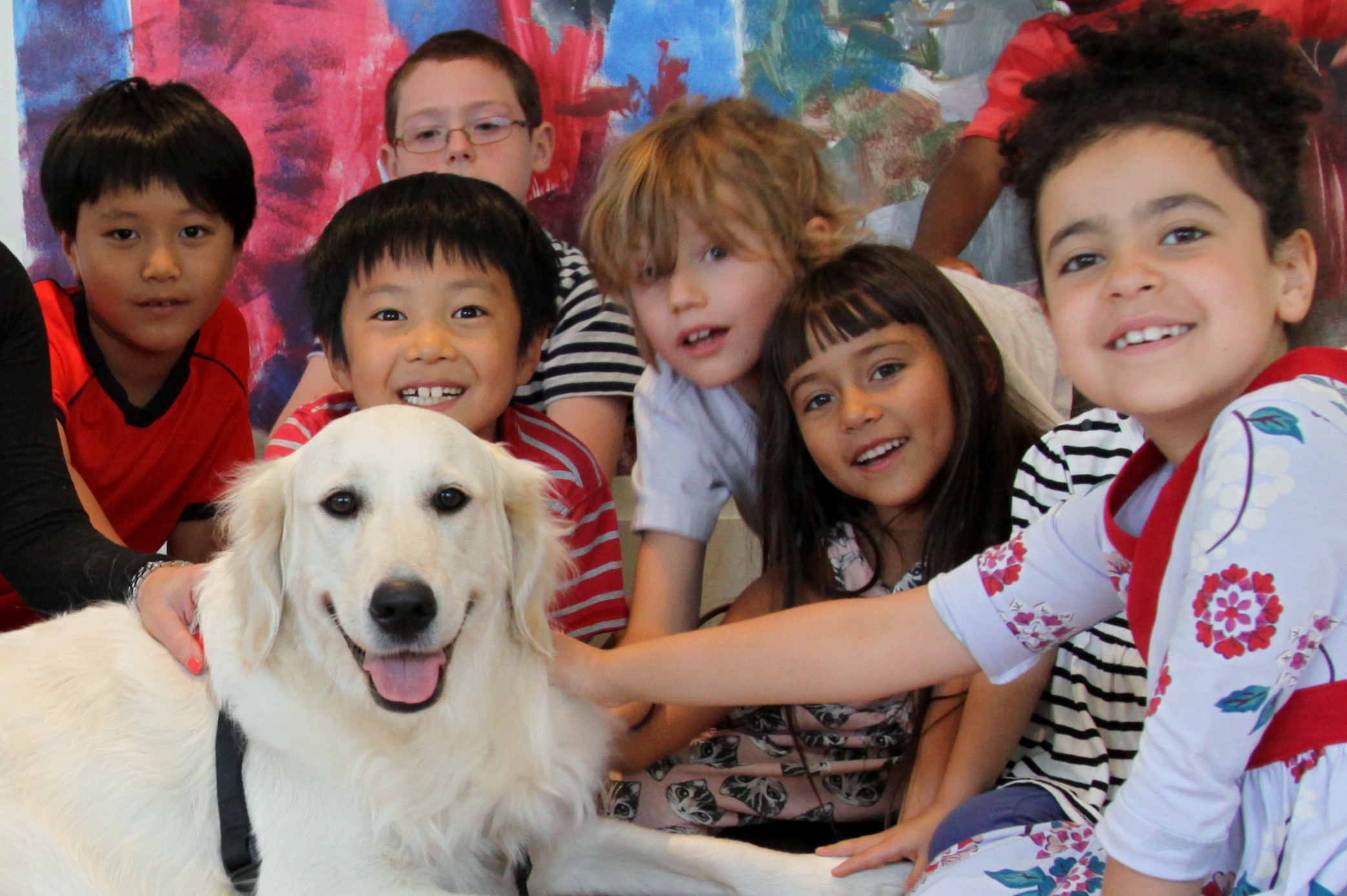 Sofia at Pono School - New York Therapy Animals