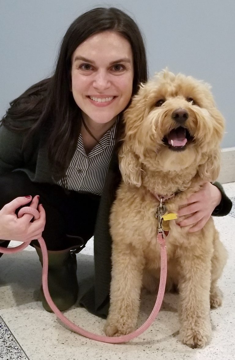 Tara and Scout - New York Therapy Animals